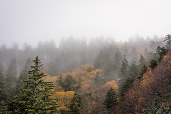 5 Day Itinerary Great Smoky Mountains