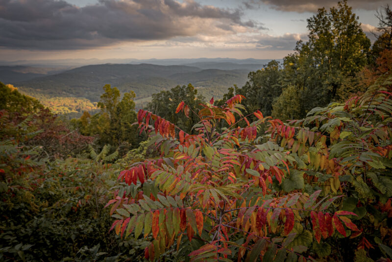 Boone NC Fall Itinerary - Stay, Eat, and Play in the High Country