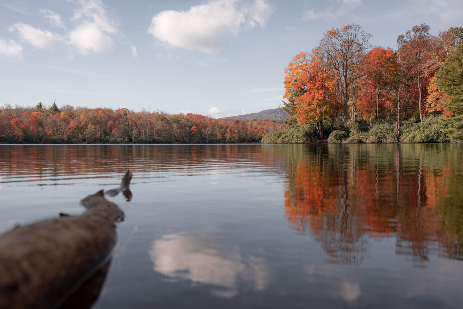 Boone NC Fall Itinerary - Stay, Eat, and Play in the High Country