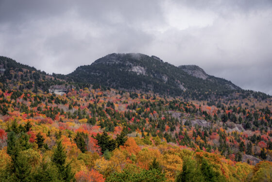 Boone NC Fall Itinerary - Stay, Eat, and Play in the High Country