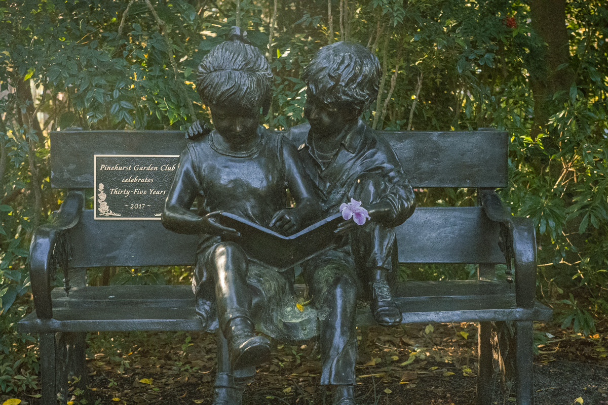 Path To Moore Nature: Pinecone Pathways In Moore County NC