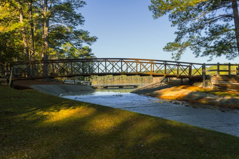 9 Things To Do In Southern Pines NC With Family You Have To Do