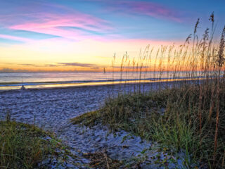 South Carolina Lowcountry Activities - What To Do SC Lowcountry