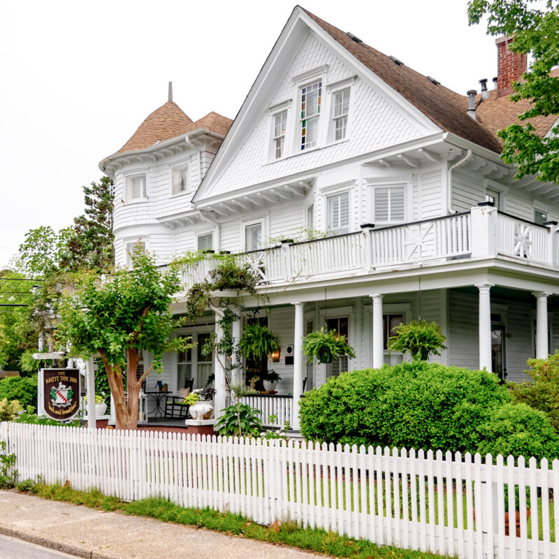 Partners Rejoice!!! Things To Do In Columbia SC For Couples