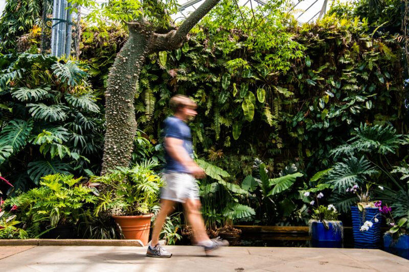 See The Most Unique Plants At Daniel Stowe Botanical Garden