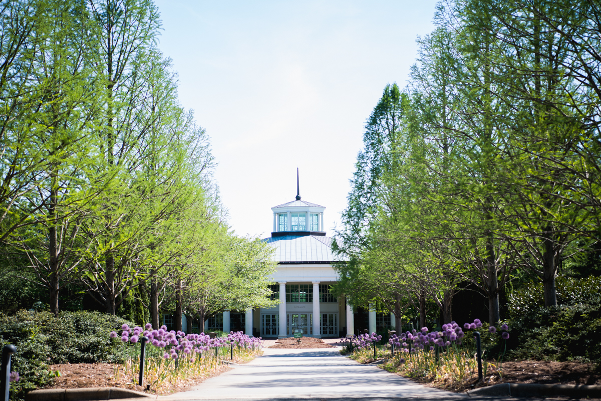 See The Most Unique Plants At Daniel Stowe Botanical Garden