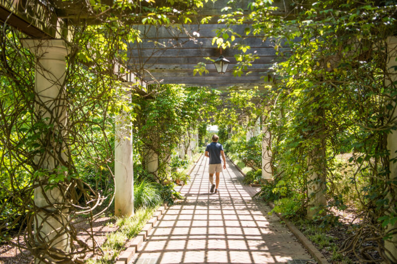 See The Most Unique Plants At Daniel Stowe Botanical Garden