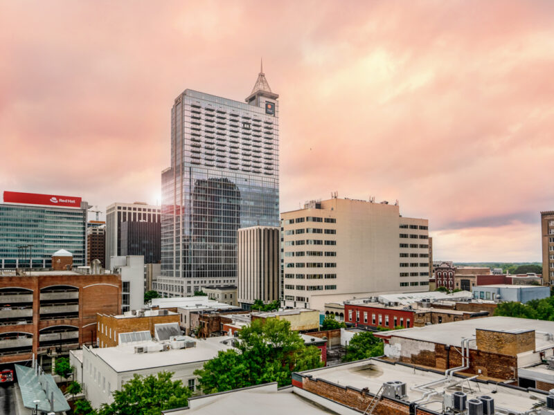 Path To Moore Nature: Pinecone Pathways In Moore County NC