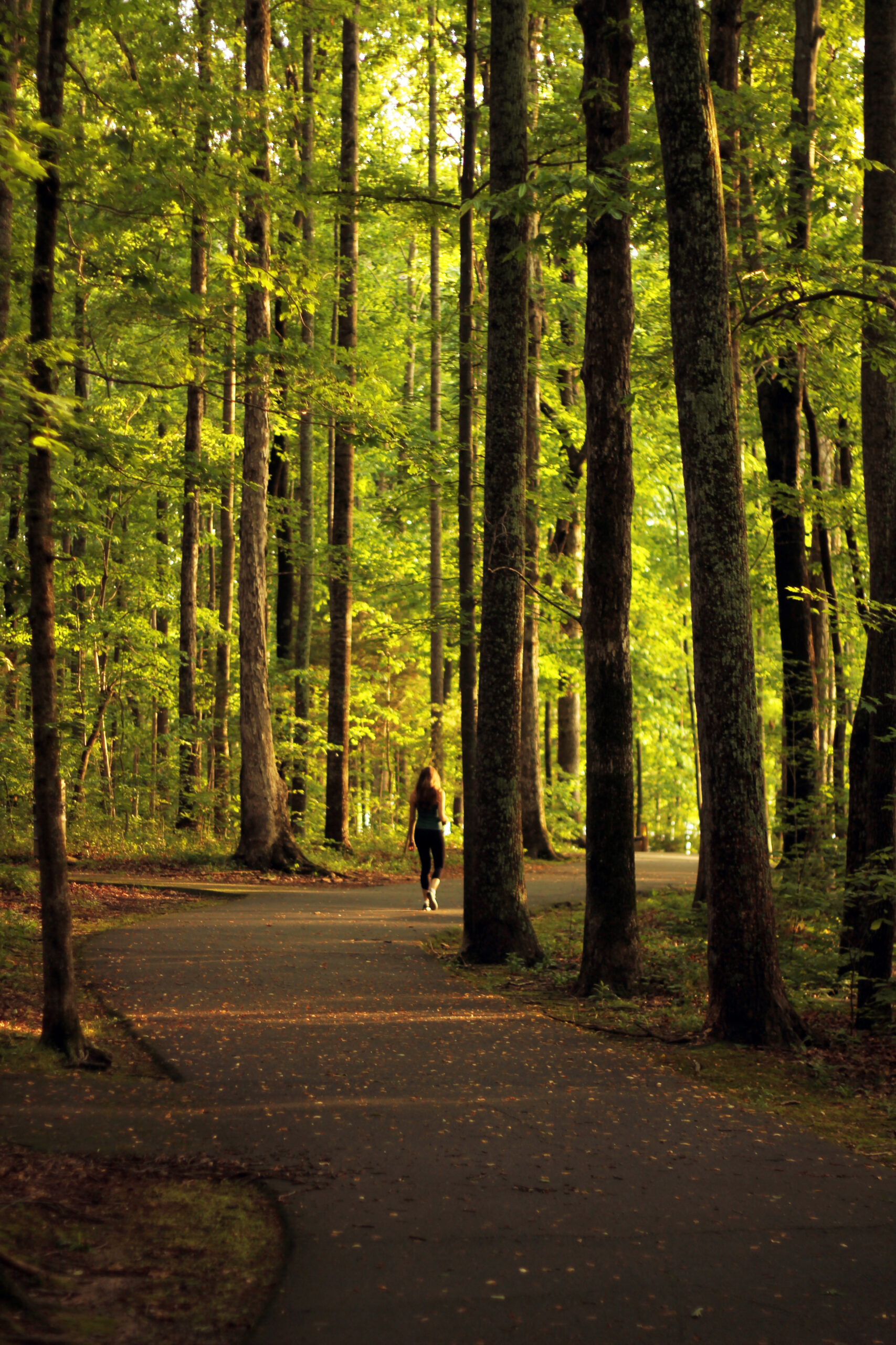 40 Hiking Trails Within An Hour's Drive Of Charlotte NC