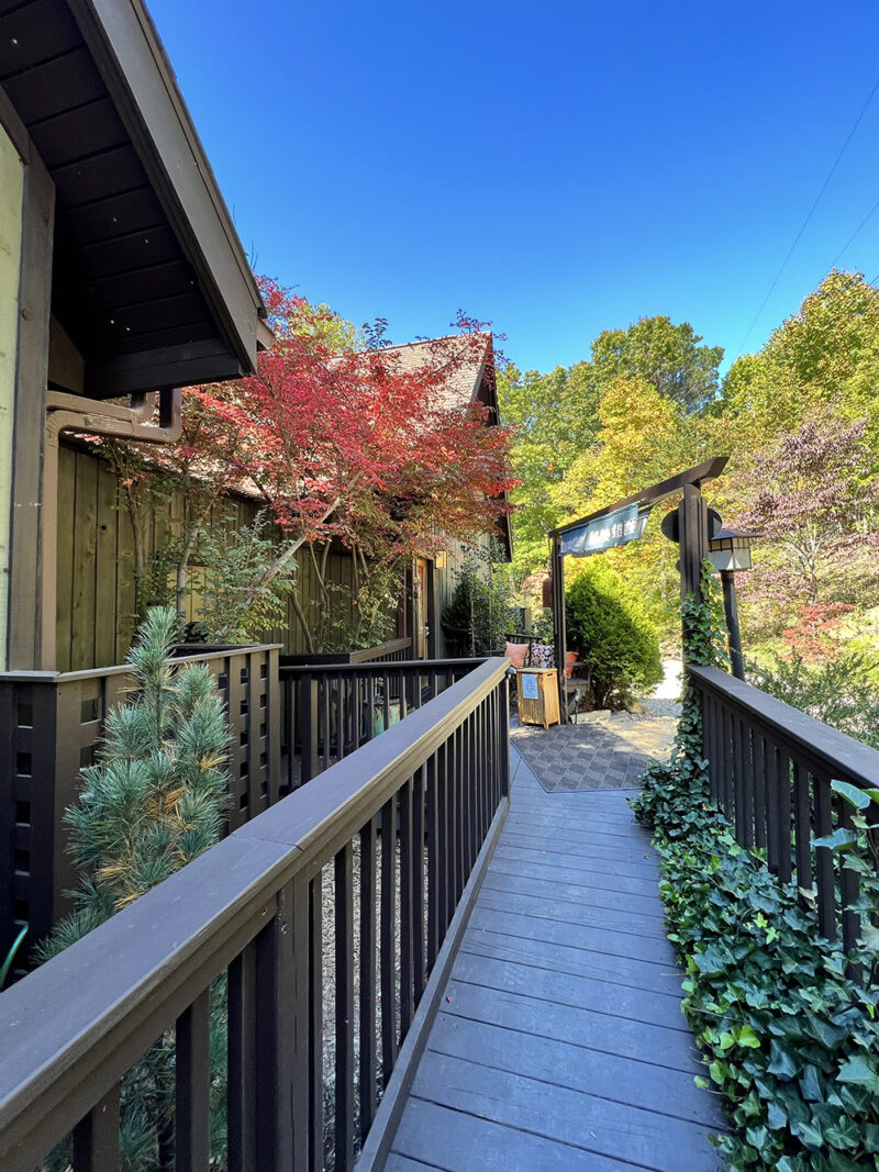 The Perfect Date! 18 Romantic Things To Do In Asheville NC