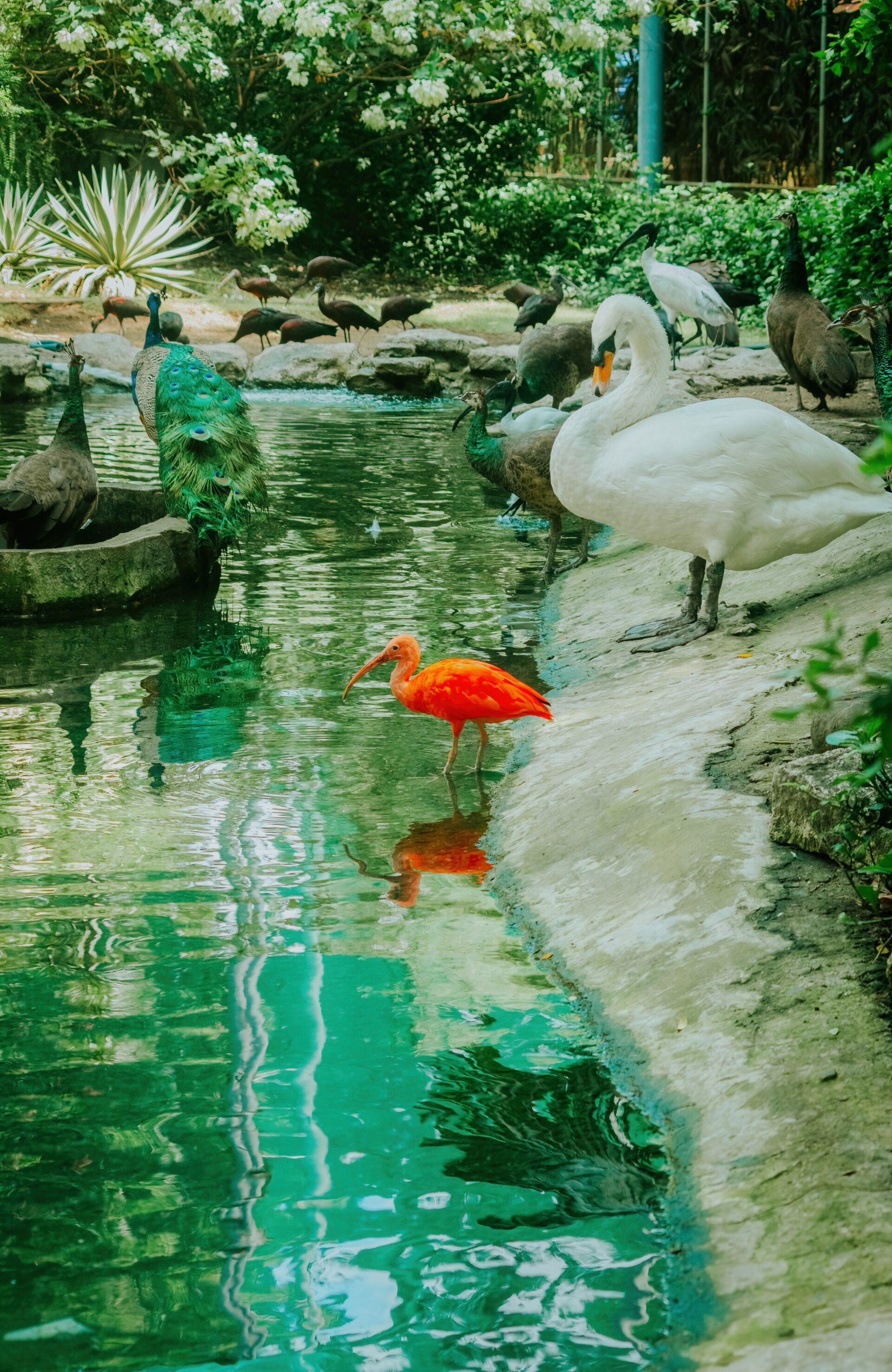 Attention Animal Lovers: 14 Sanctuaries & Zoos Near Charlotte NC You ...
