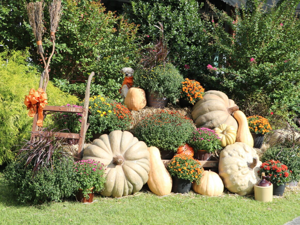 Ten Of Our Favorite Fall Festivals in NC You Need To Experience