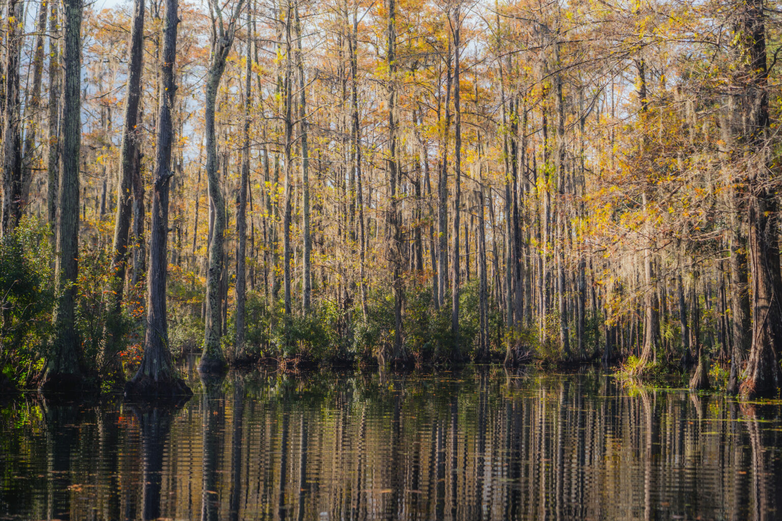 The Top Things To Do In Fall In Charleston SC
