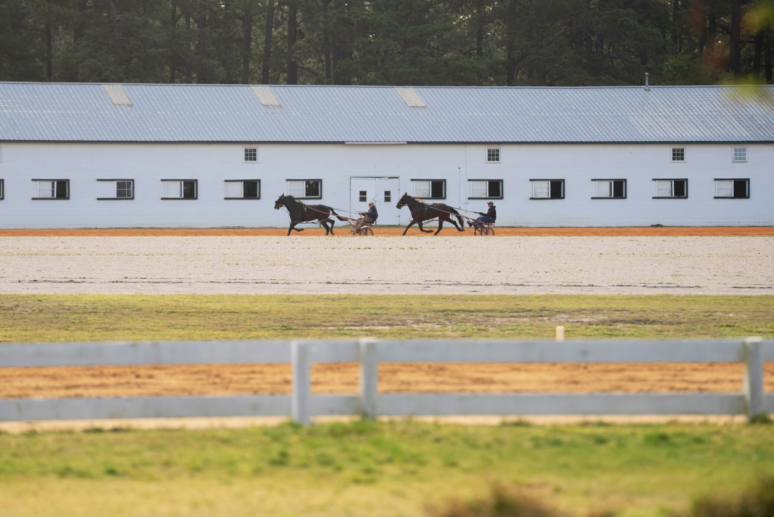 The Top 10 Free Things To Do In Southern Pines, NC & the Sandhills