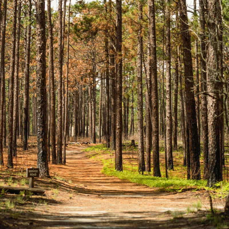 Inside The Holy City! The Top Indoor Activities In Charleston SC ...