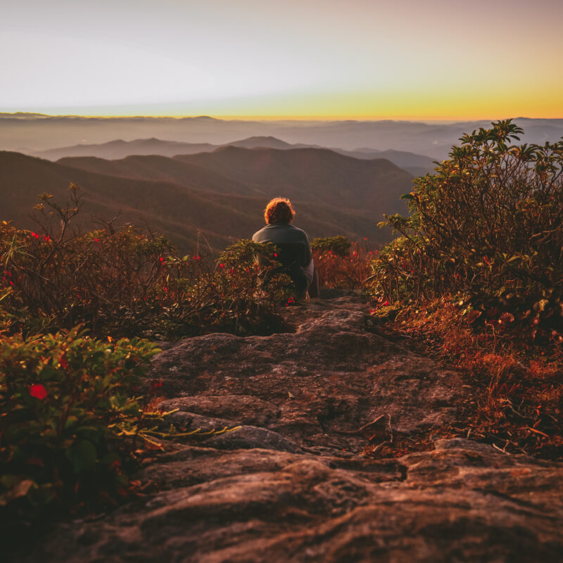 The Perfect Trip Starts At Post House Inn In Mount Pleasant SC