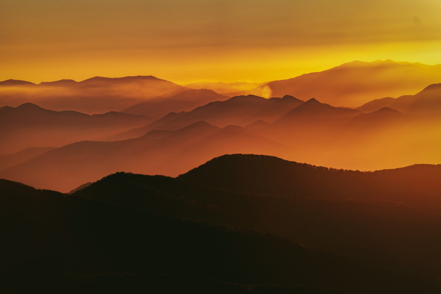 Searching For Lookouts Near Me? Here Are The Top NC Picks