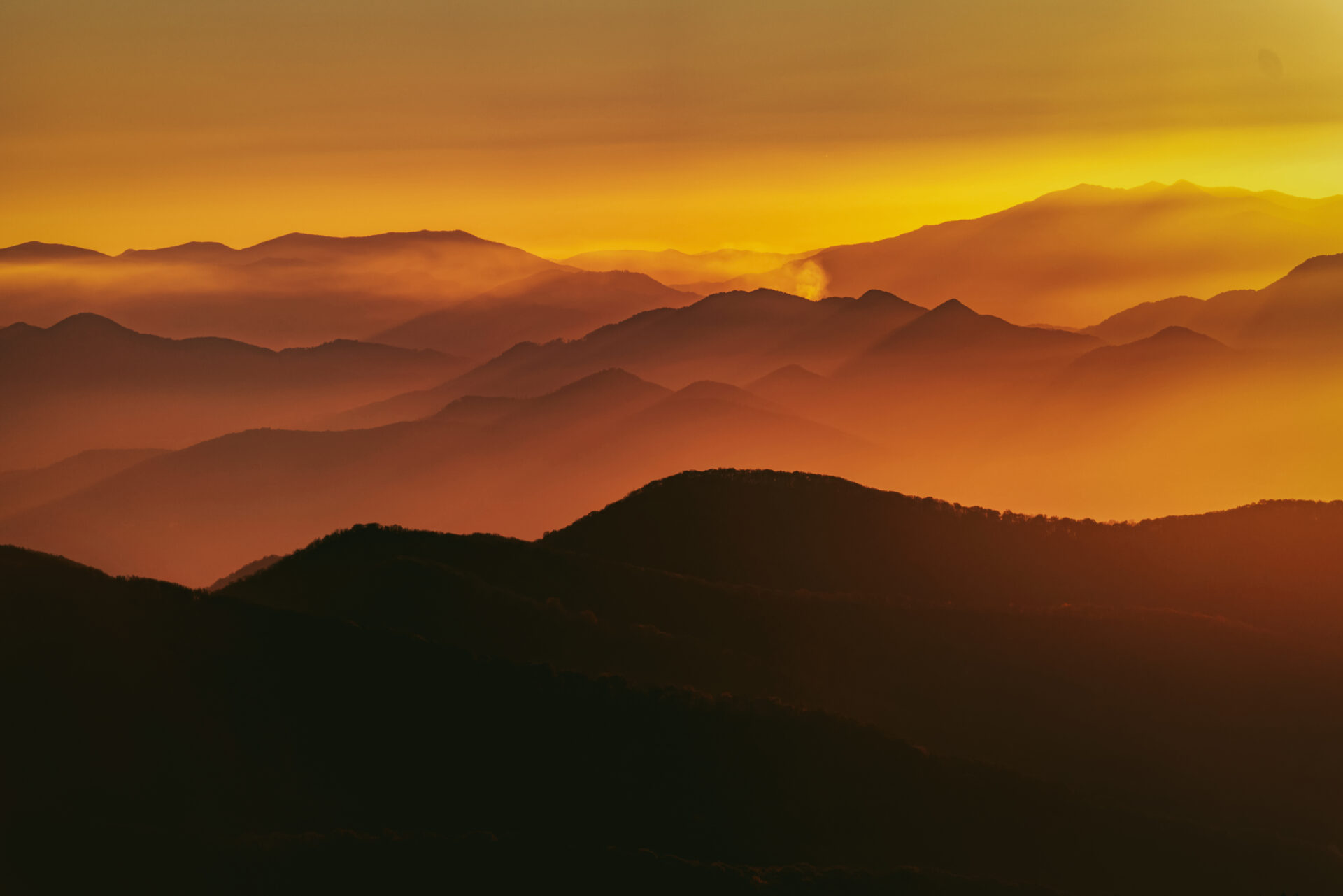 Searching For Lookouts Near Me? Here Are The Top NC Picks