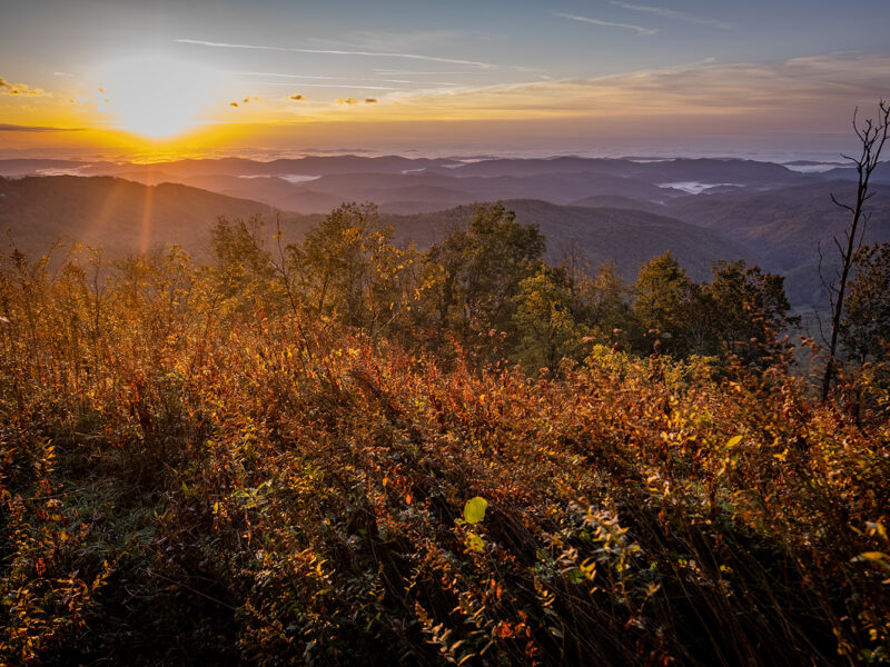 Top Things To Do In Hilton Head For Couples