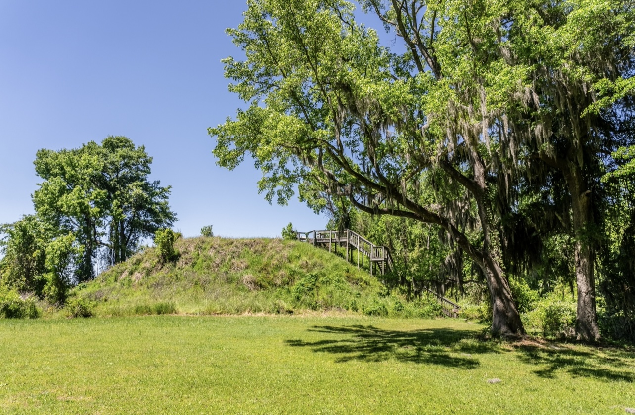 An Indelible Impression: Santee Cooper Country in South Carolina