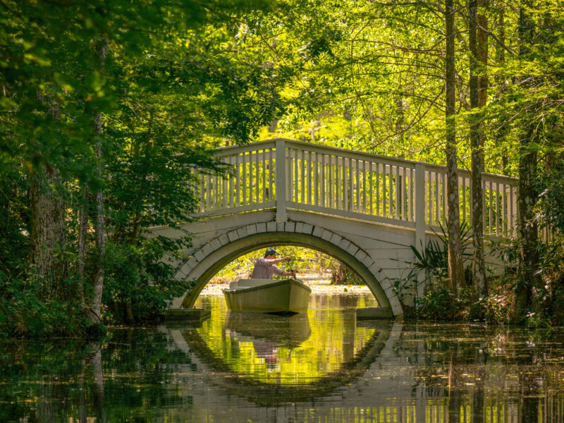 The Top Things To Do In Fall In Charleston SC