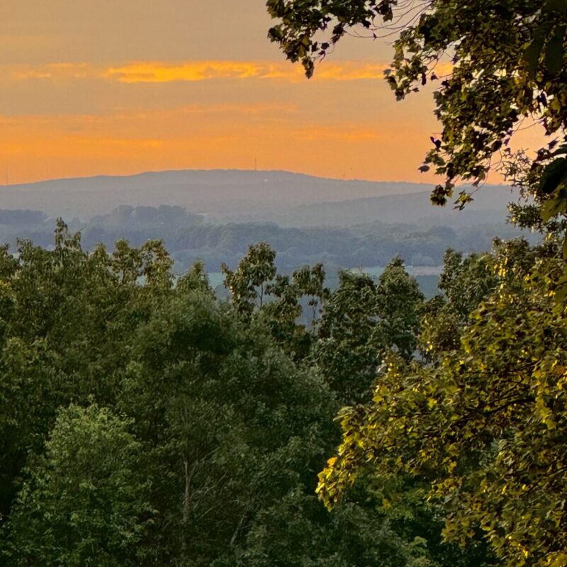Searching For Lookouts Near Me? Here Are The Top NC Picks