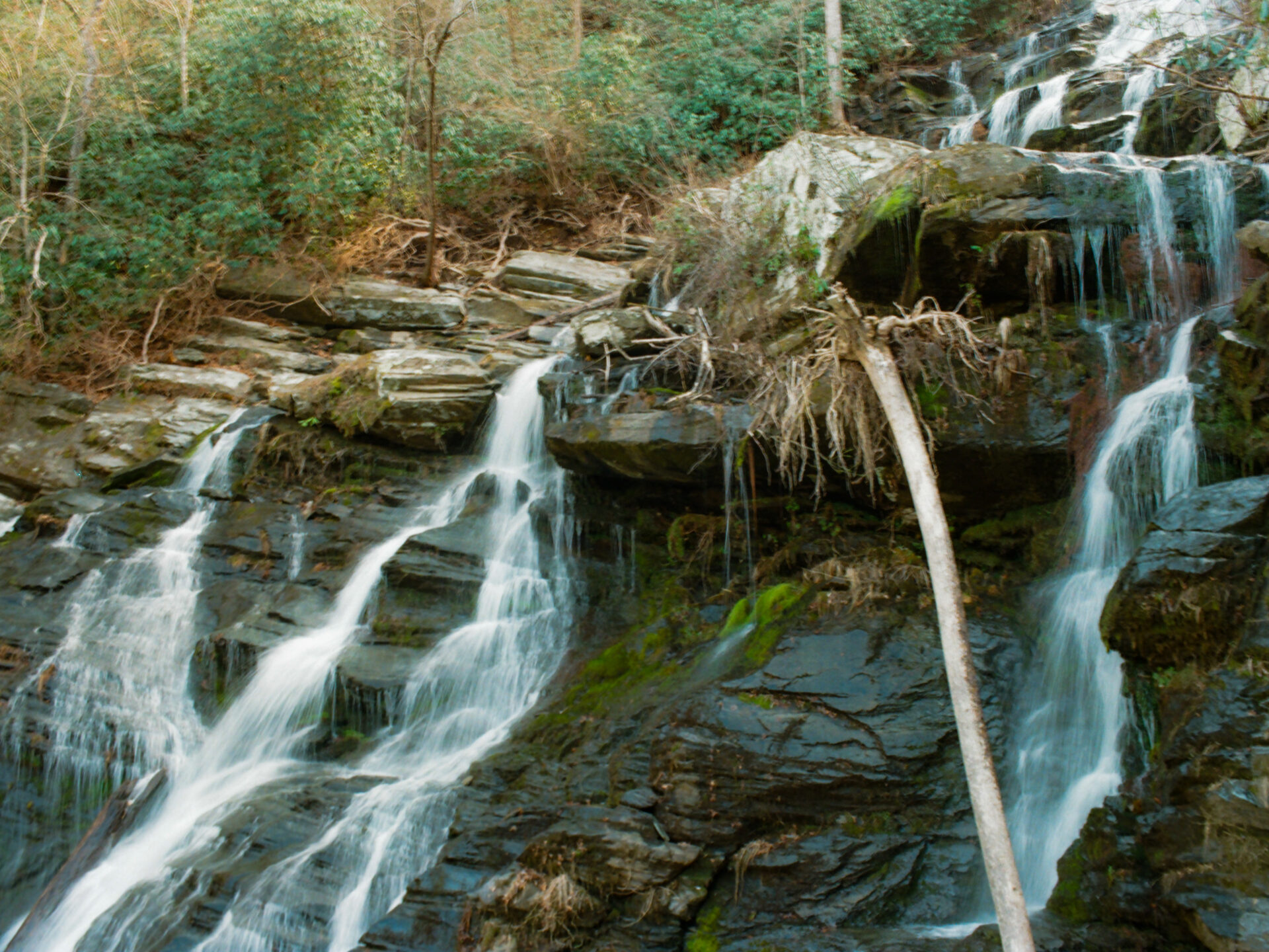 Mt. Mitchell North Carolina - What To Do When Visiting